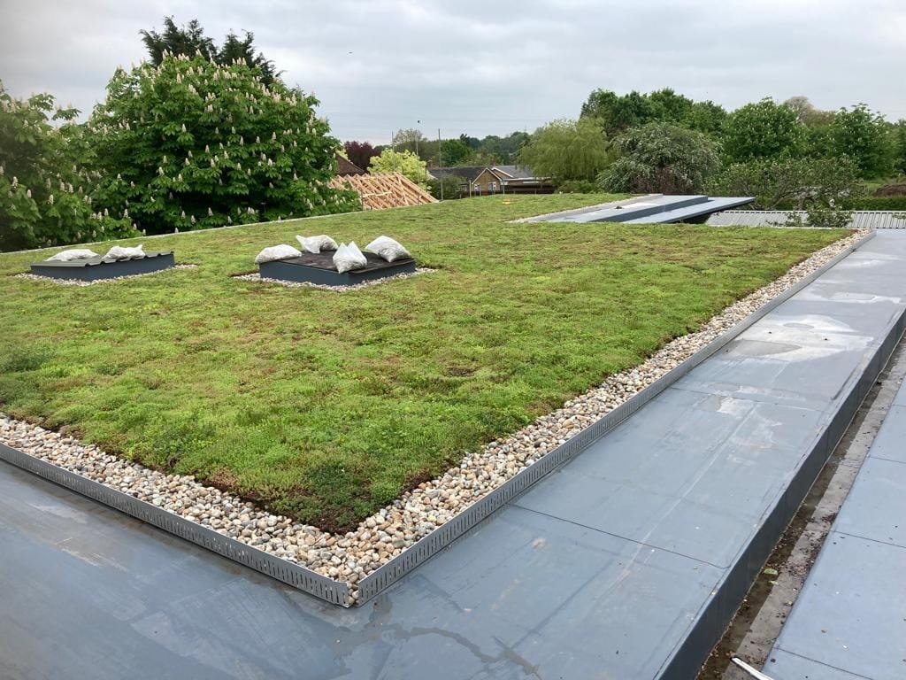 Flat-Roof.jpeg